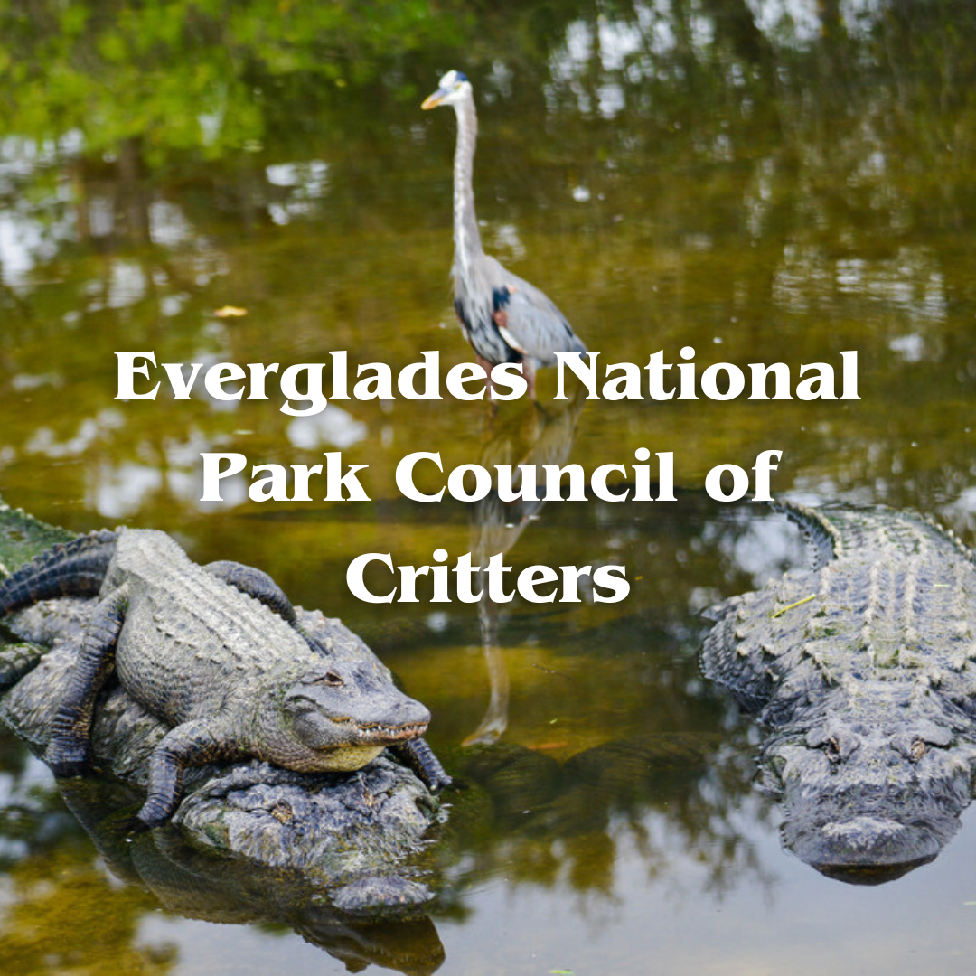 All Committees | FIU Model United Nations Program